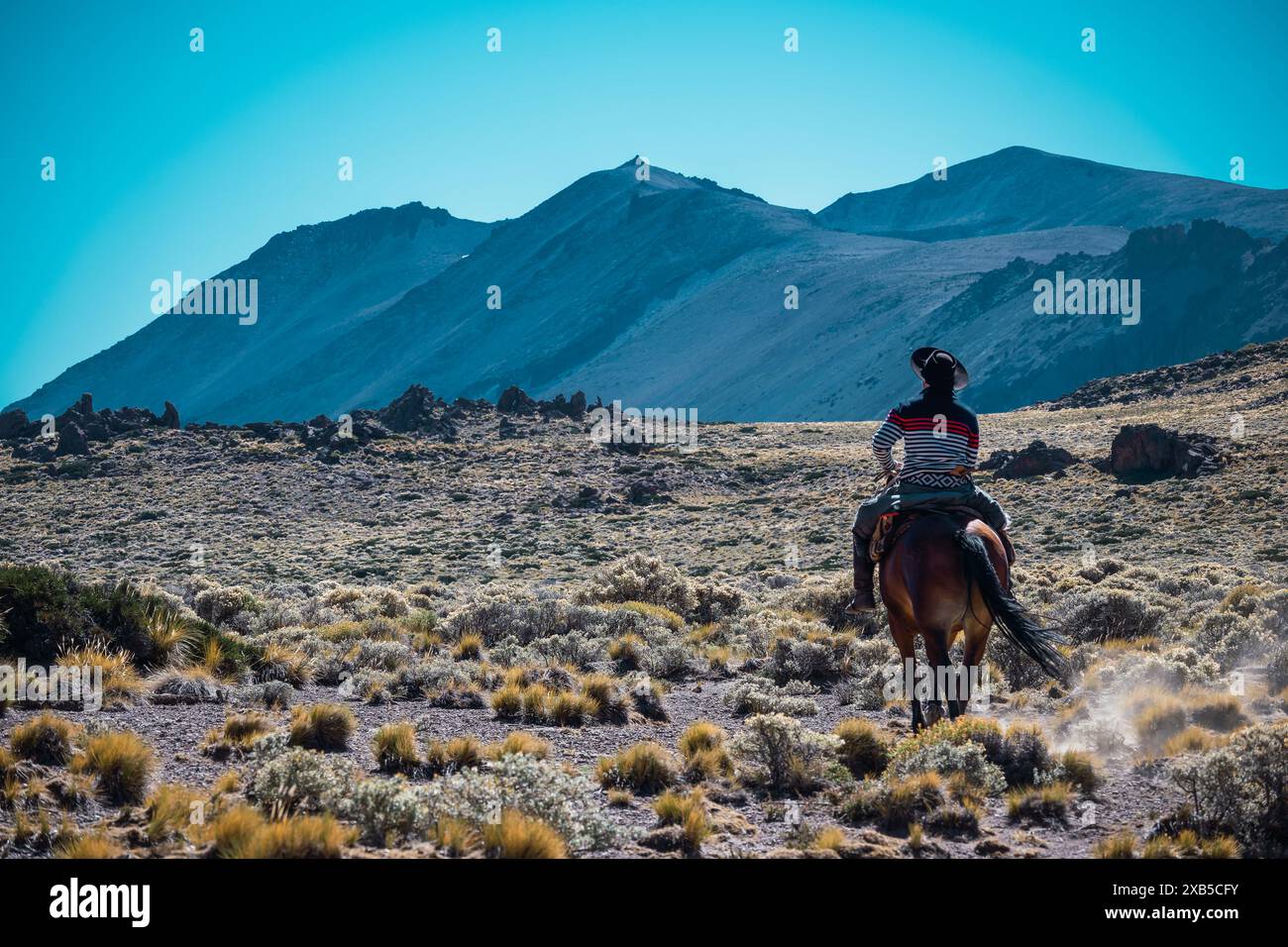 Gaucho poncho argentina hi-res stock photography and images - Alamy