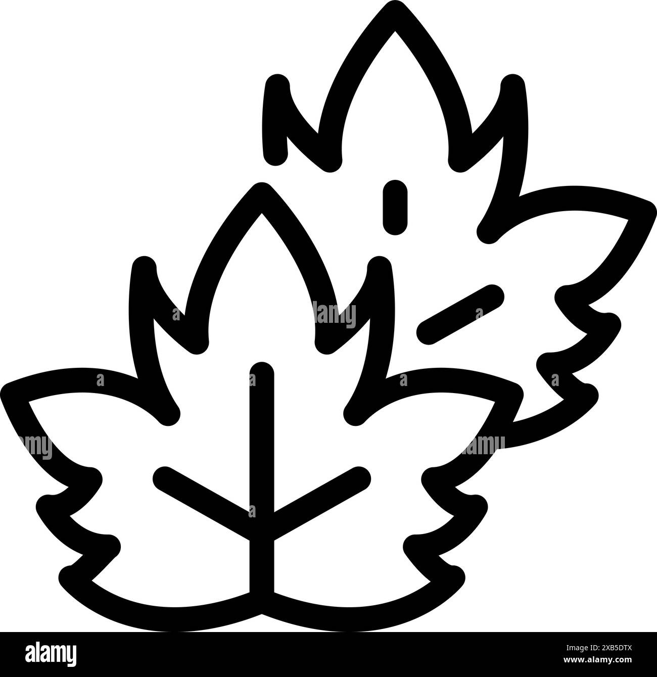 Simple illustration of two overlapping maple leaves with jagged edges ...