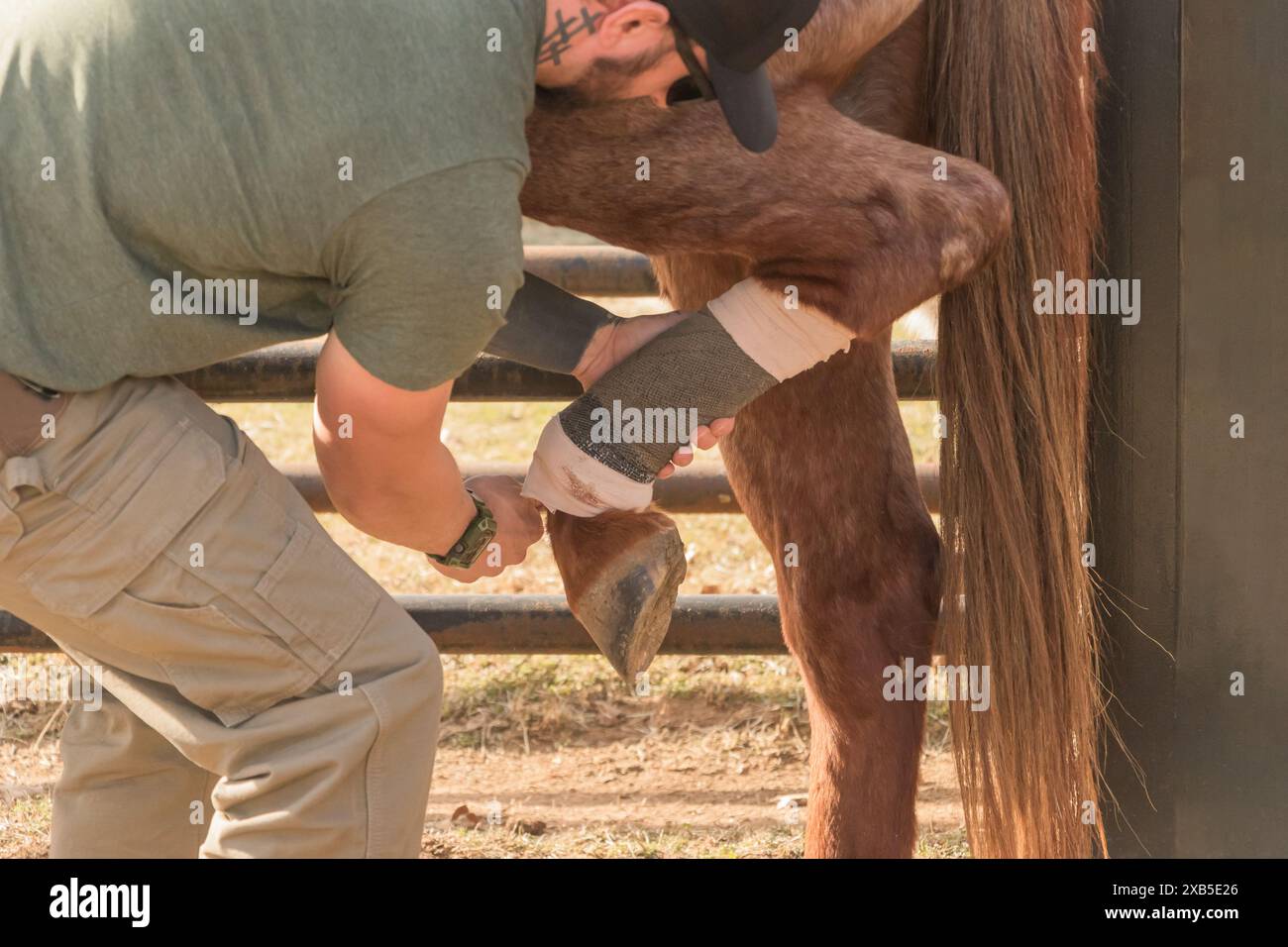 Leg lift doctor hi-res stock photography and images - Alamy