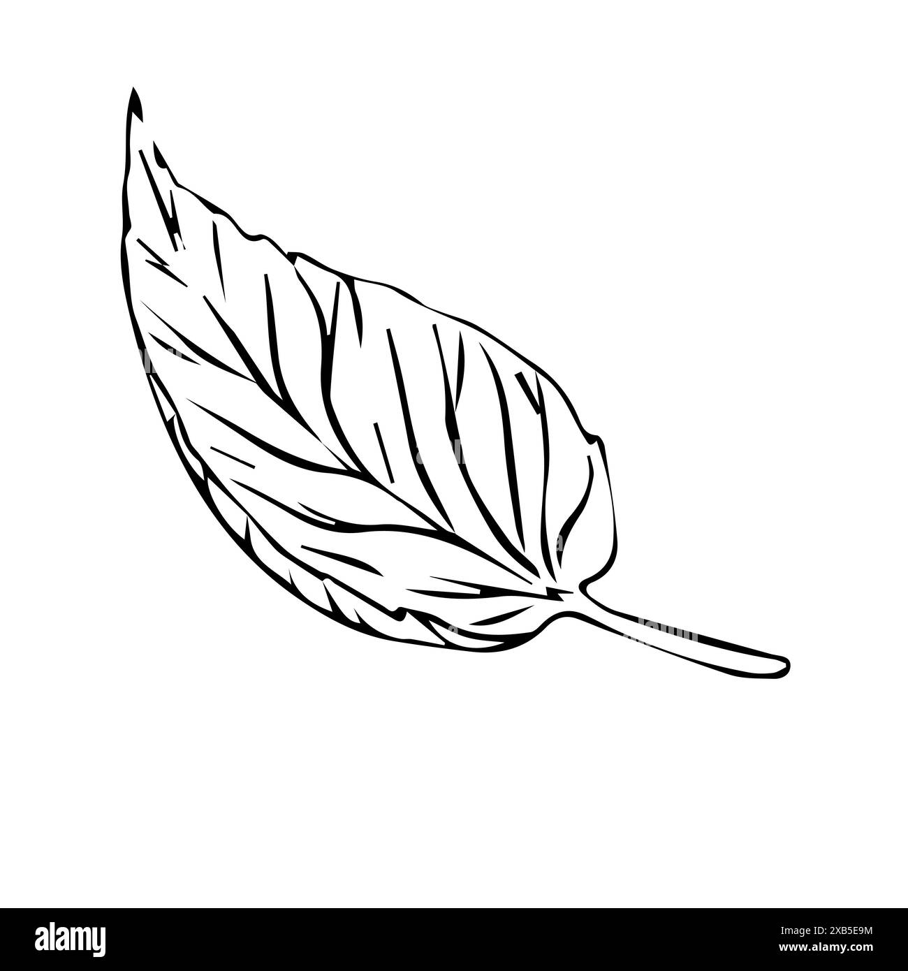 Hand drawn tree leaves in doodle style painted by black inks. Vector ...