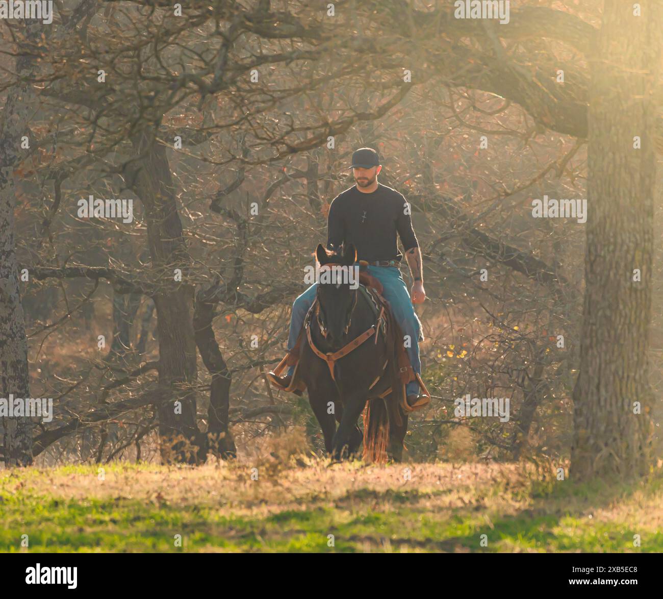 Person relaxed horse riding hi-res stock photography and images - Alamy