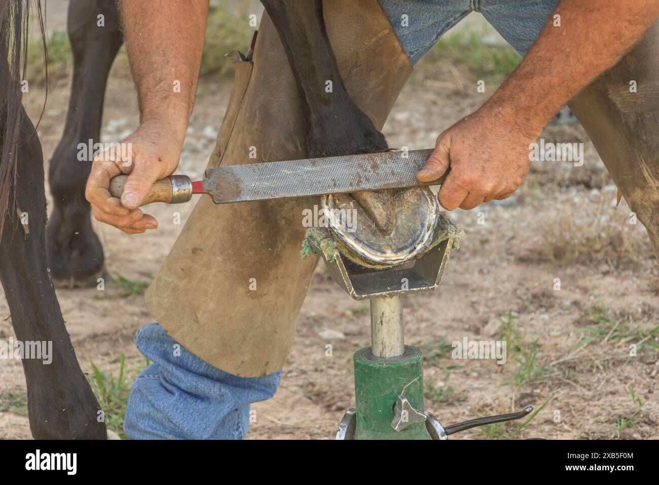 Hoof balance hi-res stock photography and images - Alamy