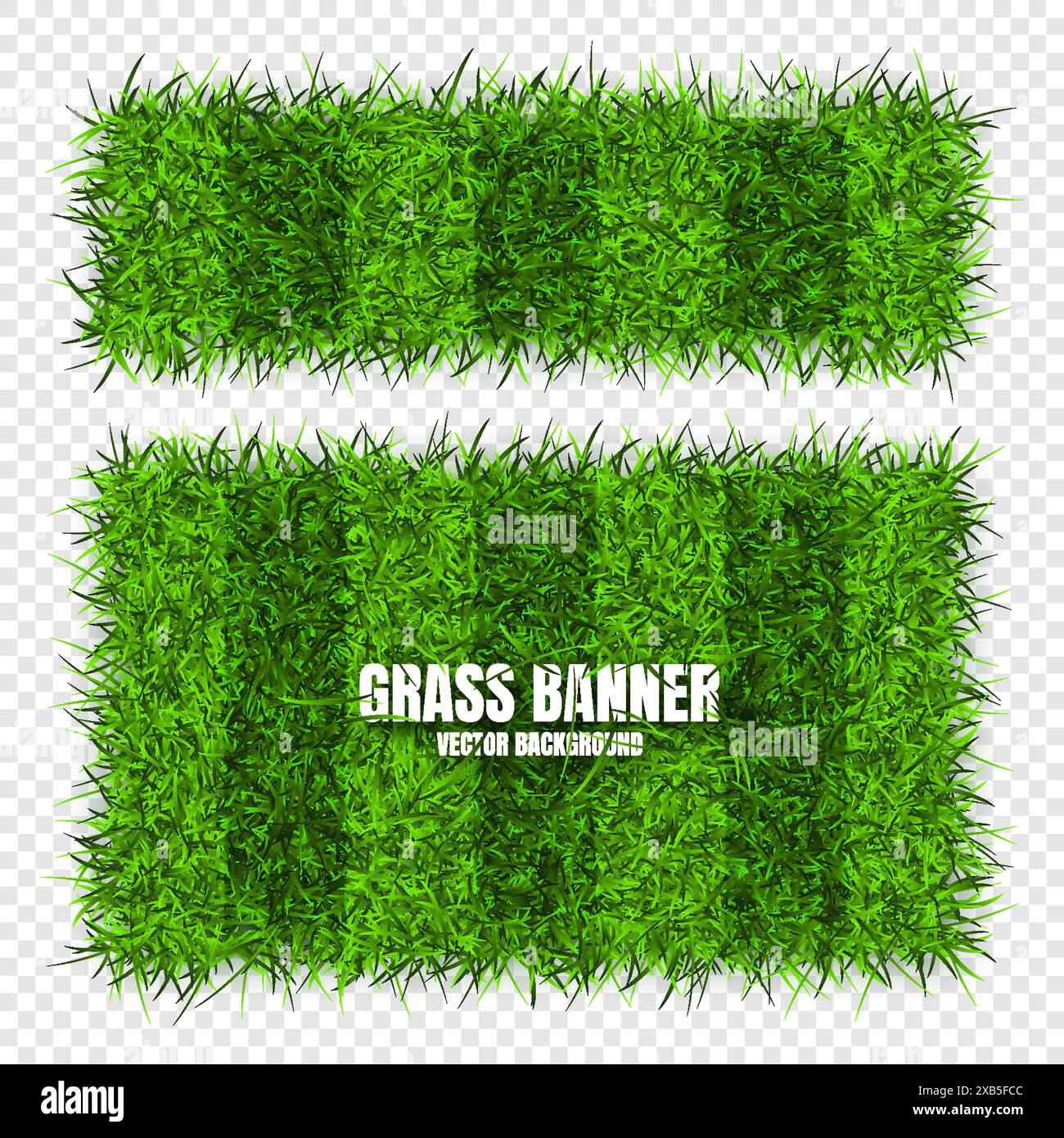 Green grass banners, background. Field, meadow texture, grassy ...