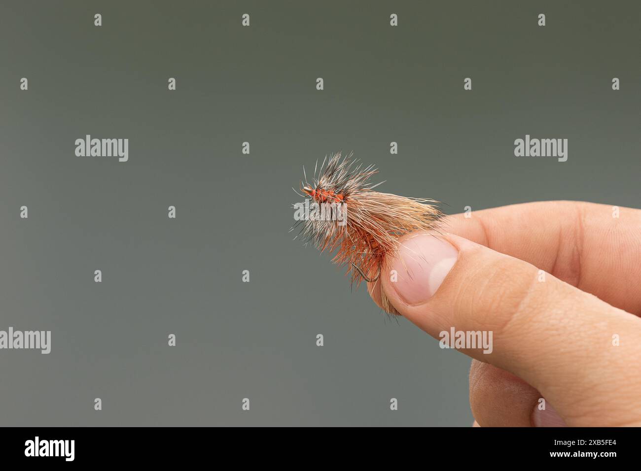 Fly fish hi-res stock photography and images - Alamy