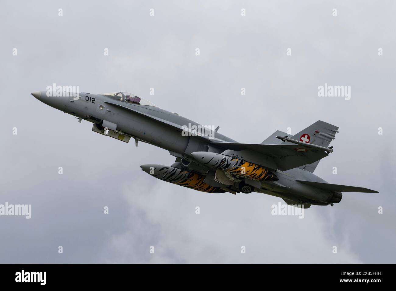 Jagel, Germany. 10th June, 2024. McDonnell Douglas F/A-18 Hornet of ...