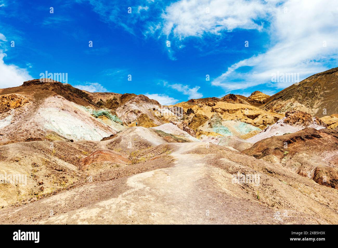 Color palette and nature hi-res stock photography and images - Alamy