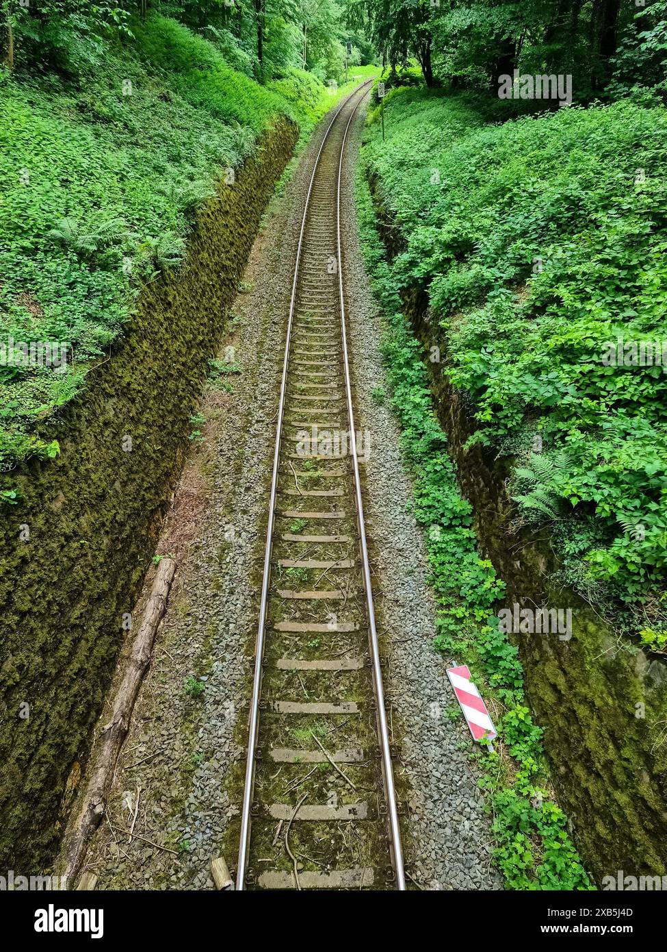 A track bed for trains in a forest with walls on both sides Stock Photo ...