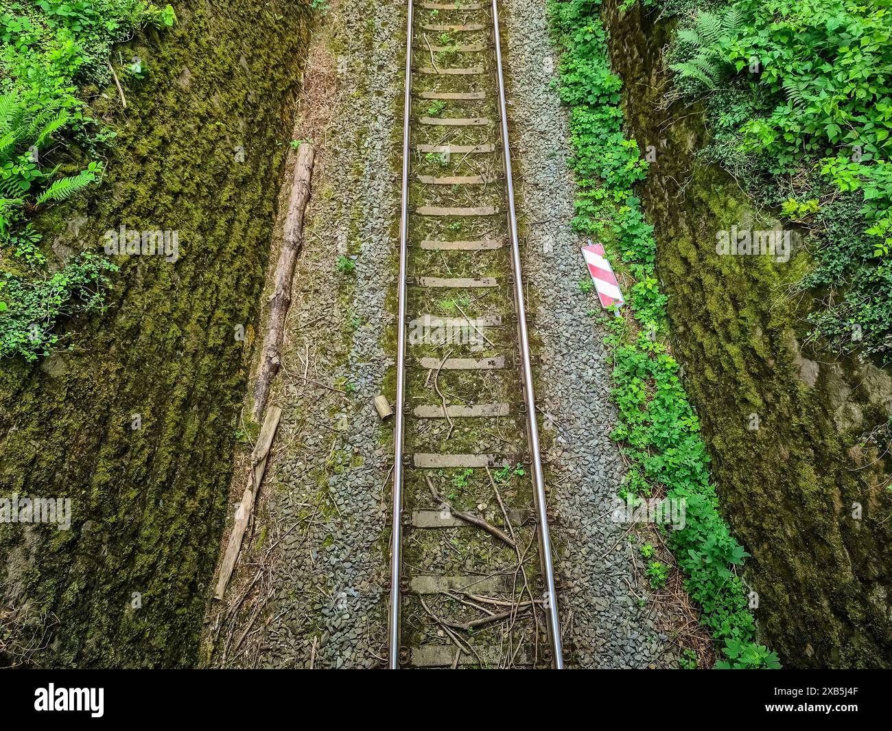 A track bed for trains in a forest with walls on both sides Stock Photo ...