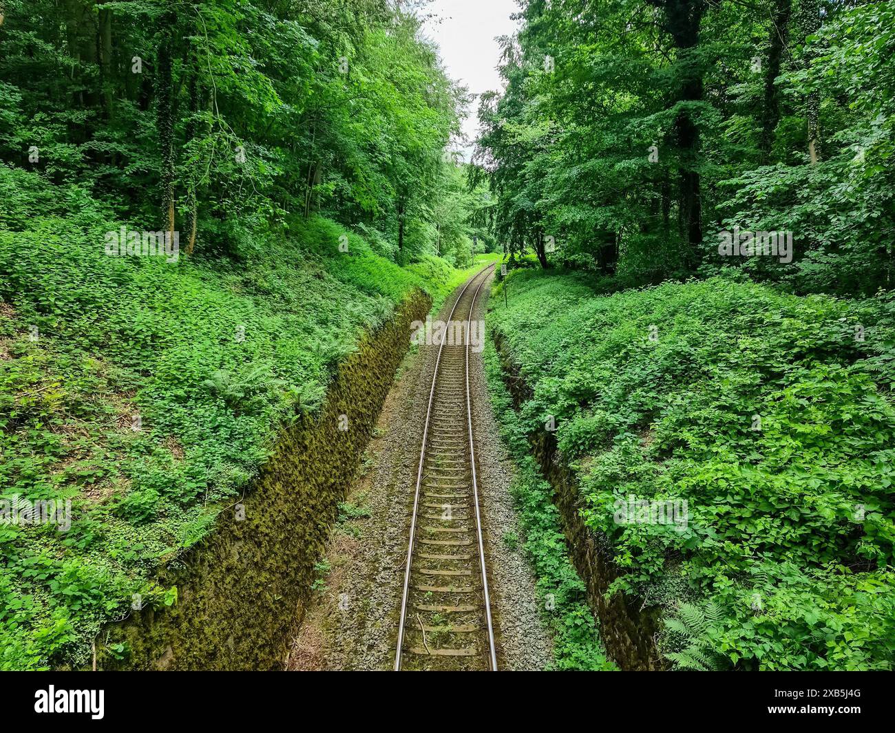 A track bed for trains in a forest with walls on both sides Stock Photo ...