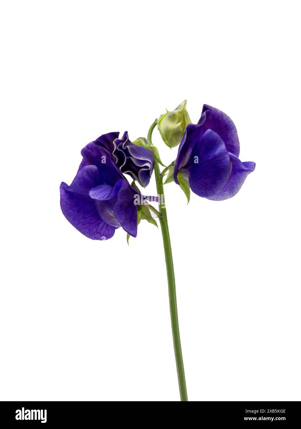 Cl20240610 hi-res stock photography and images - Alamy