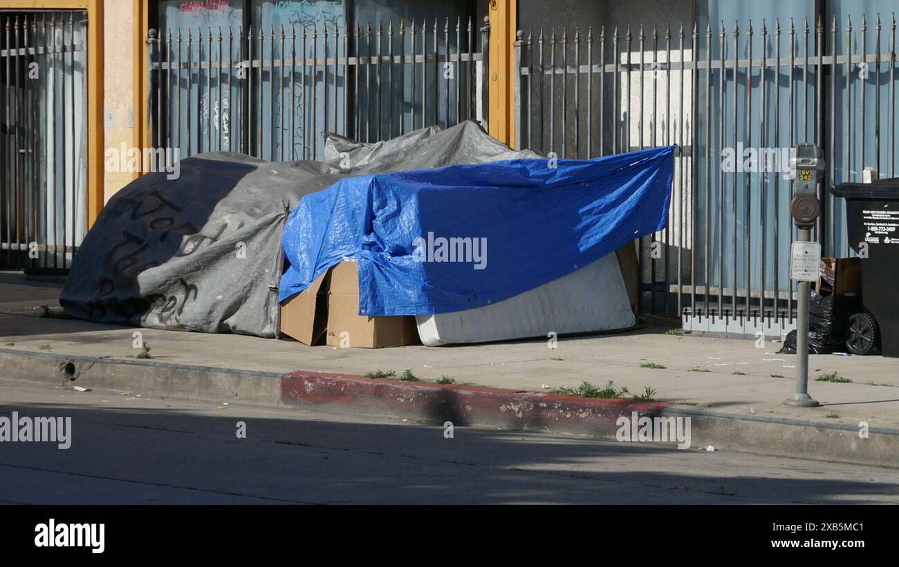 Los Angeles, California, USA 8th June 2024 Homeless Tents Camp on June ...