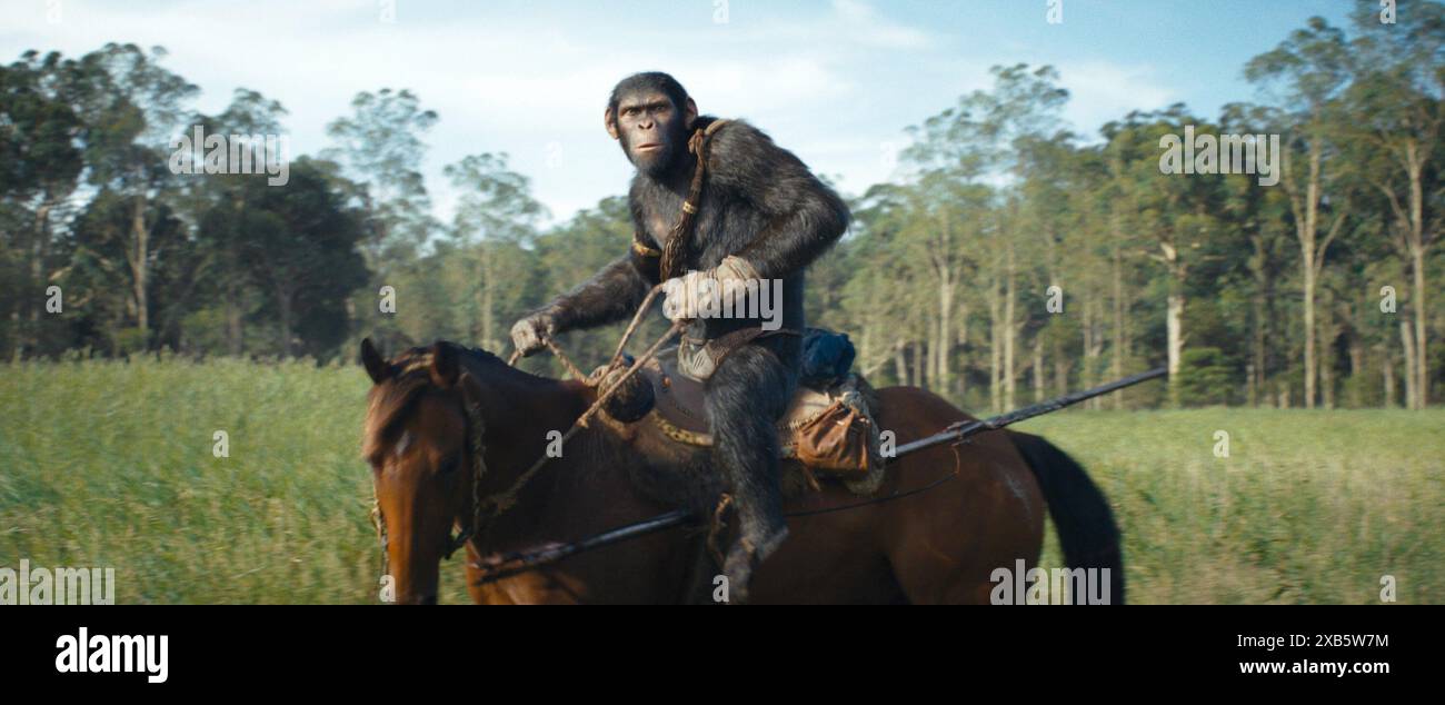 KINGDOM OF THE PLANET OF THE APES, Noa (voice: Owen Teague), 2024 ...