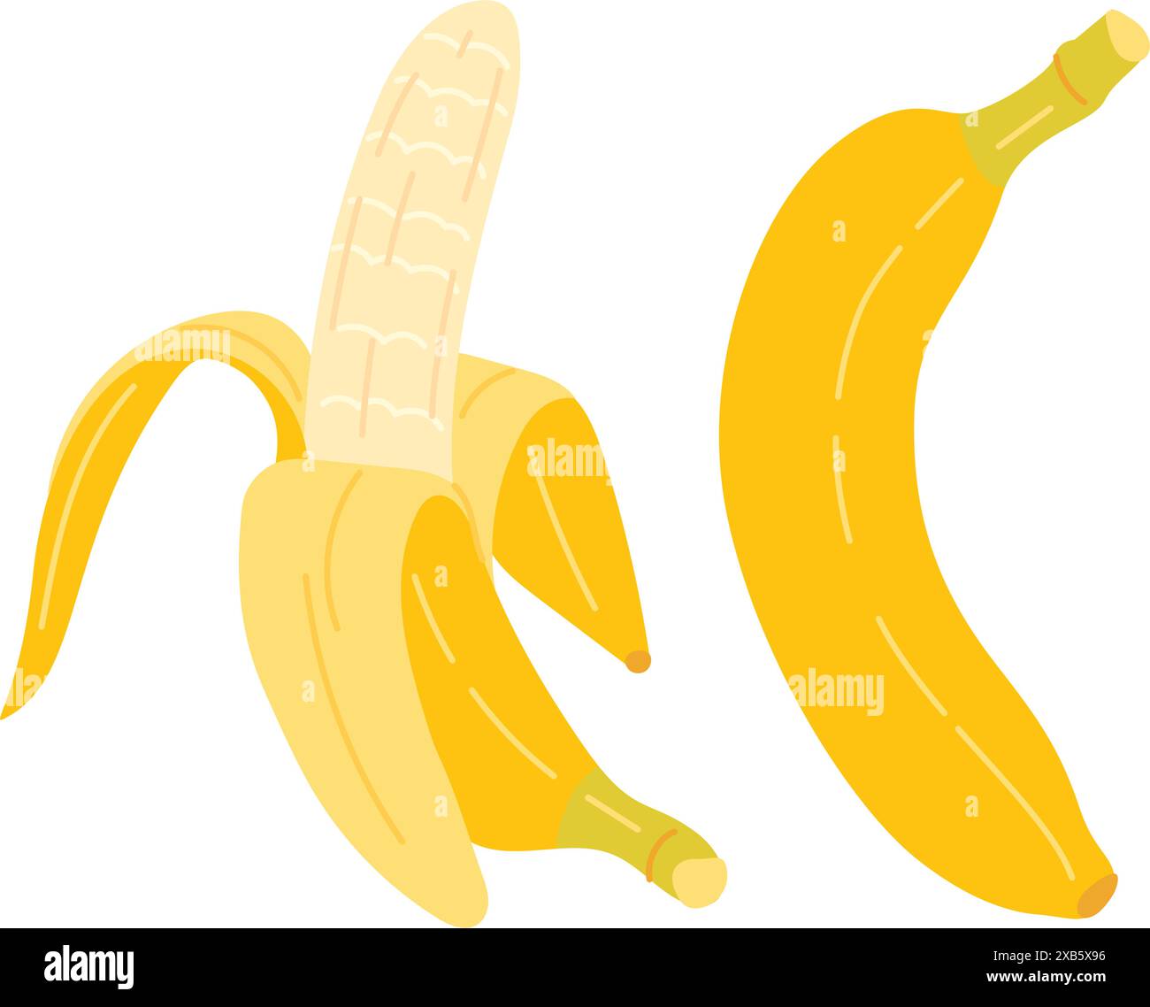 Fresh peeled and unpeeled banana. Hand drawn flat style banana isolated ...