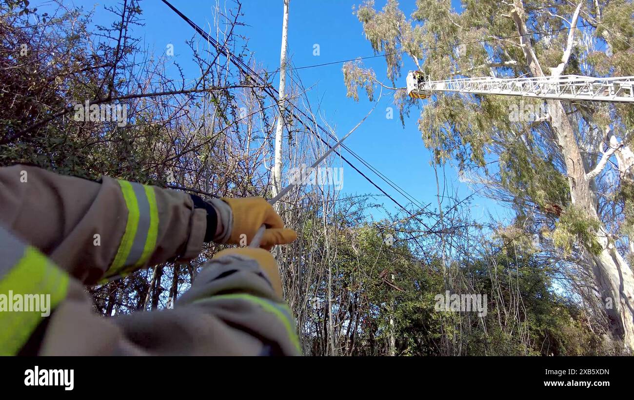 Firefighter hands grabbing rope in tree rescue outdoors Stock Photo - Alamy