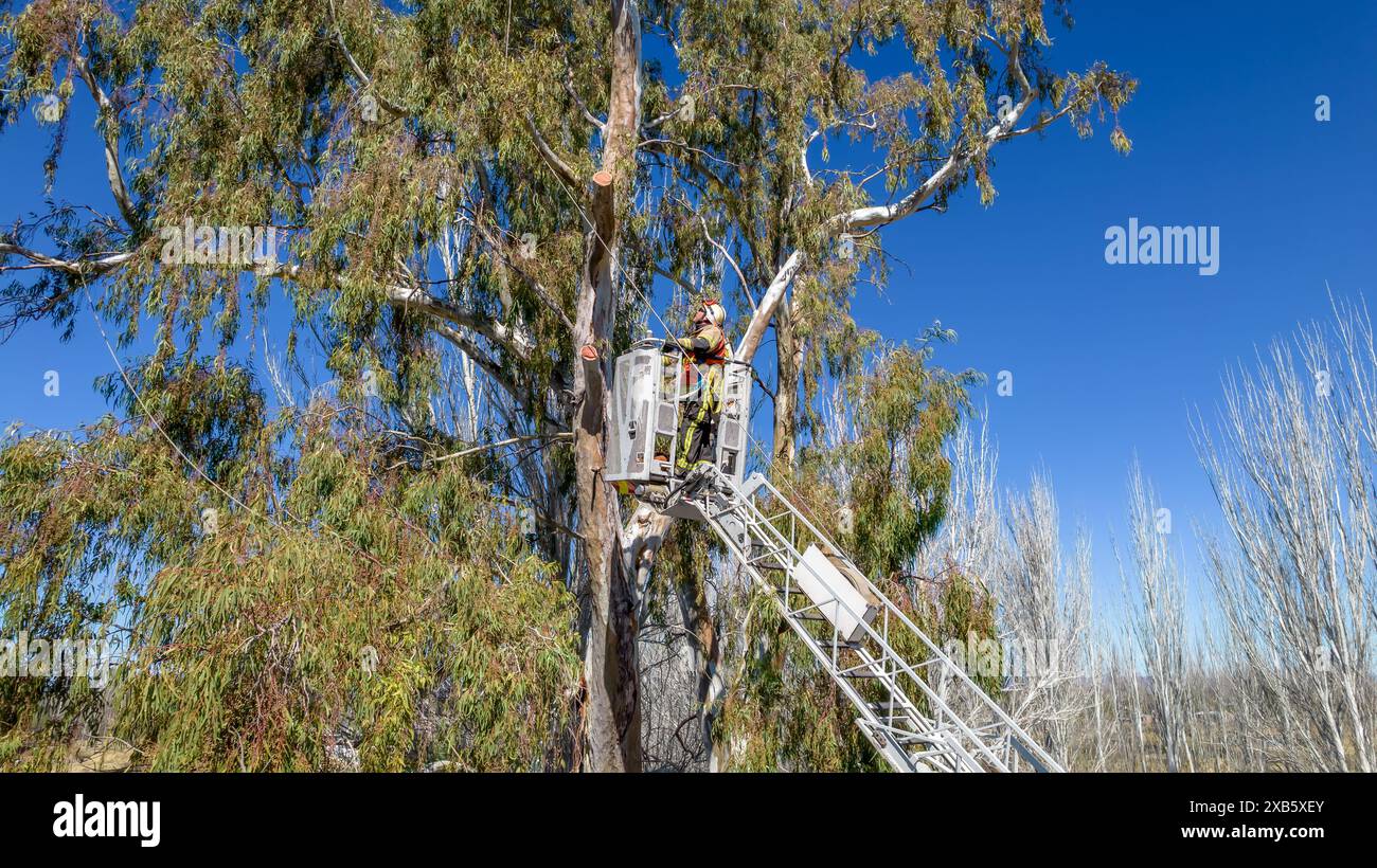 Firefighter ladder tree hi-res stock photography and images - Alamy