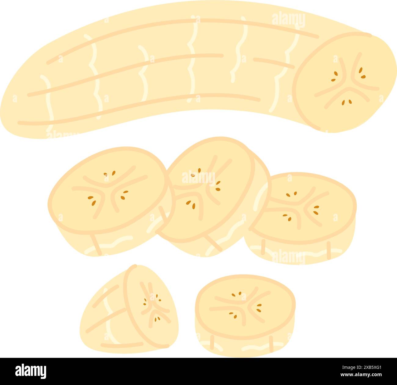Fresh peeled and cut into pieces banana. Hand drawn flat style banana ...