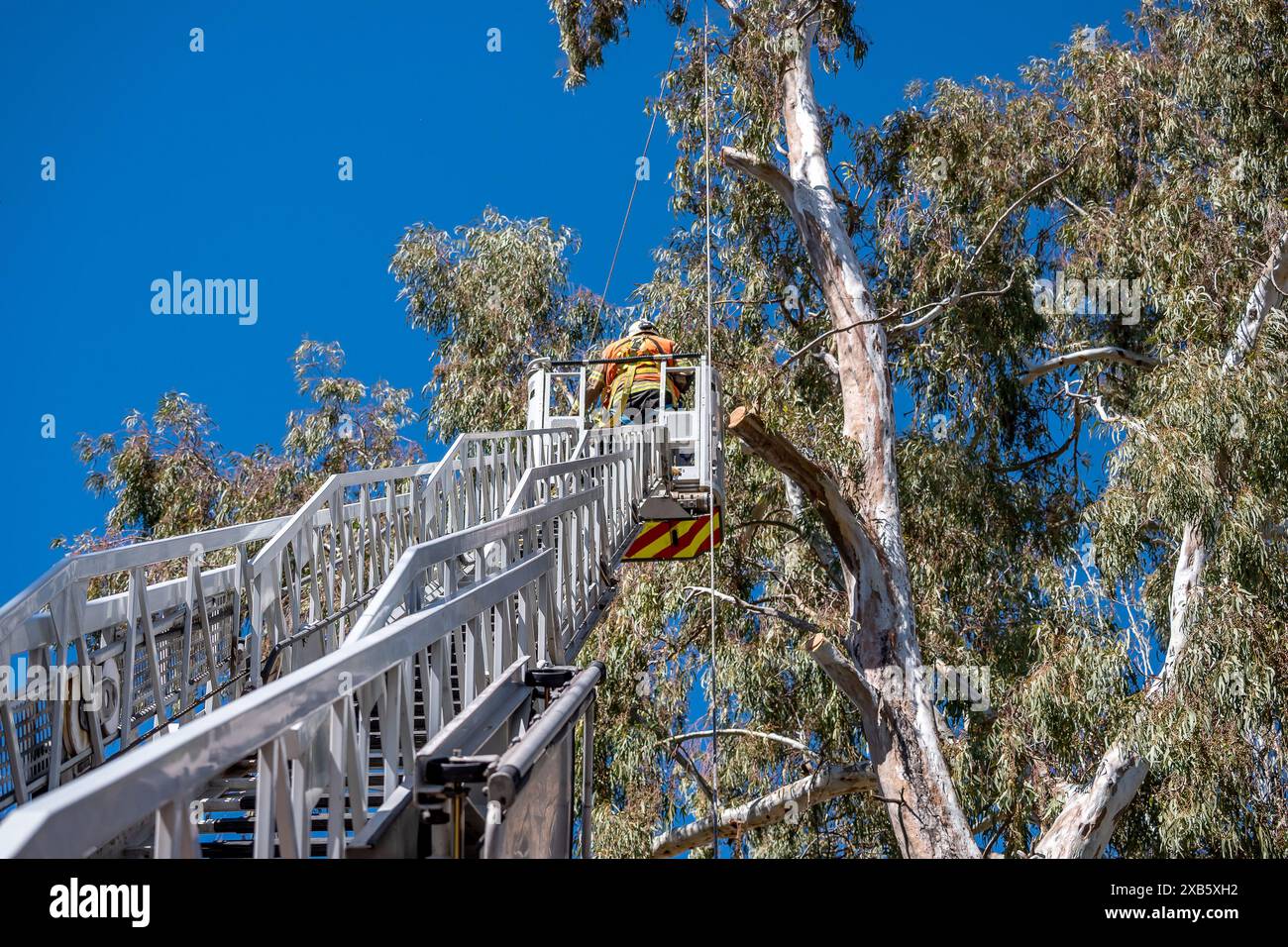 Firefighter doing tree rescue on top of ladder truck outdoors Stock ...