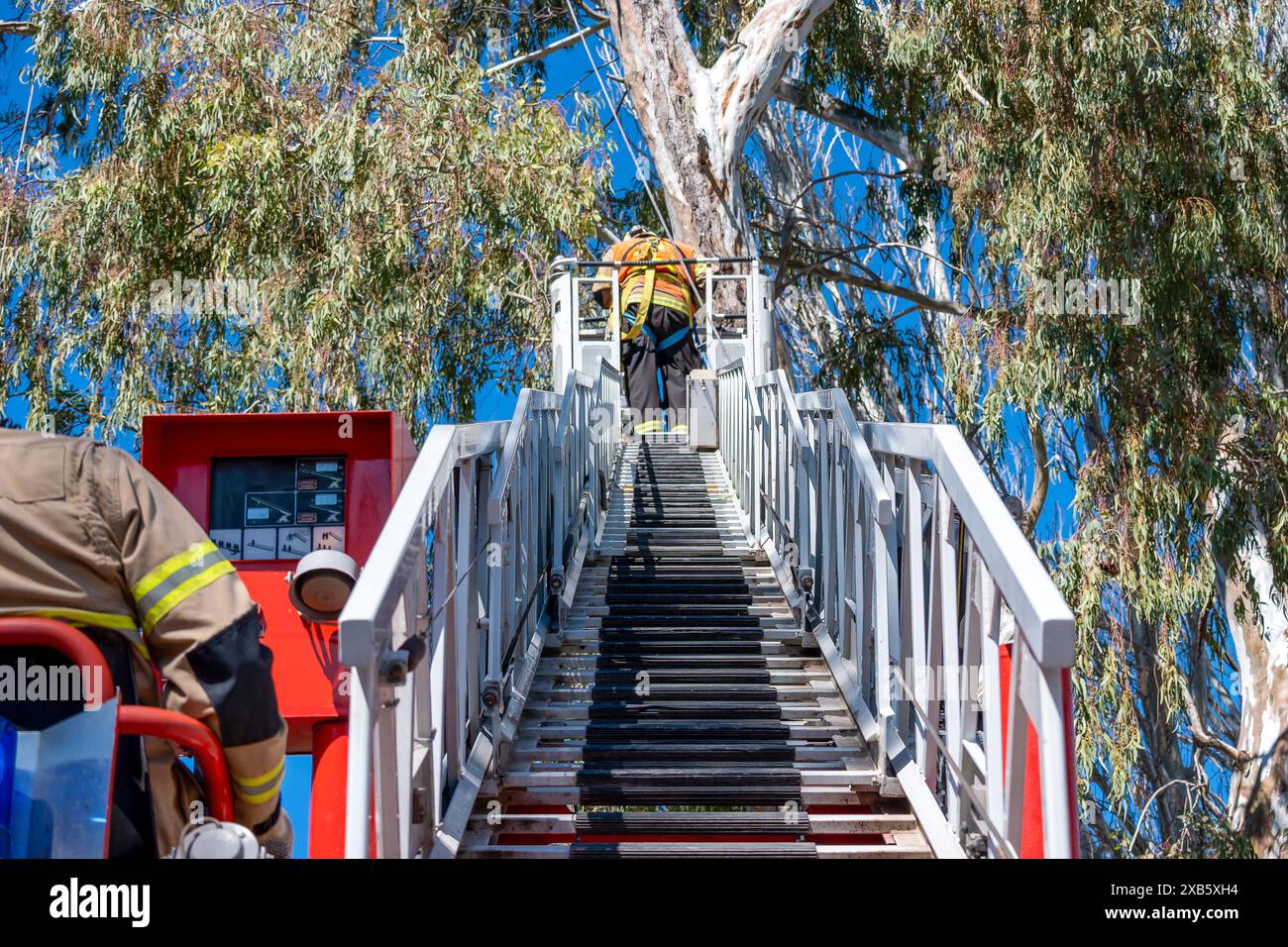 Firefighter doing tree rescue on top of ladder truck outdoors Stock ...