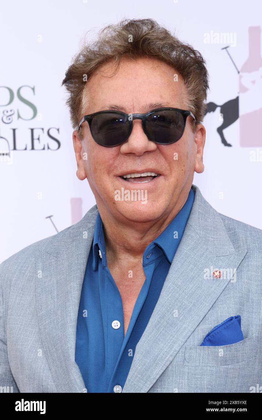 Pacific Palisades, California, USA. 8th June, 2024. TV host Ross King ...