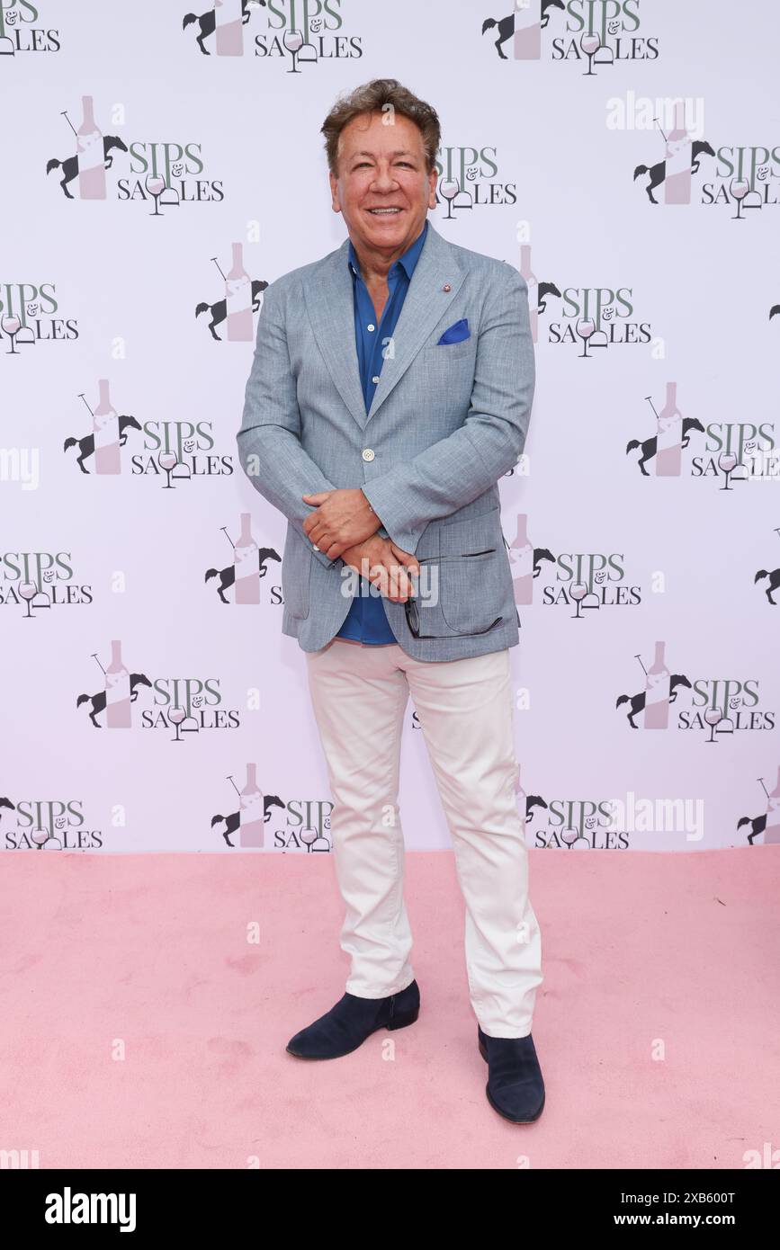 Pacific Palisades, California, USA. 8th June, 2024. TV host Ross King ...