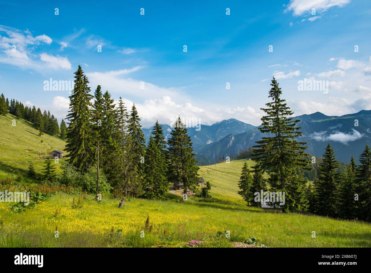 The beautiful nature of Rugova canyon in the countryside of Kosovo ...