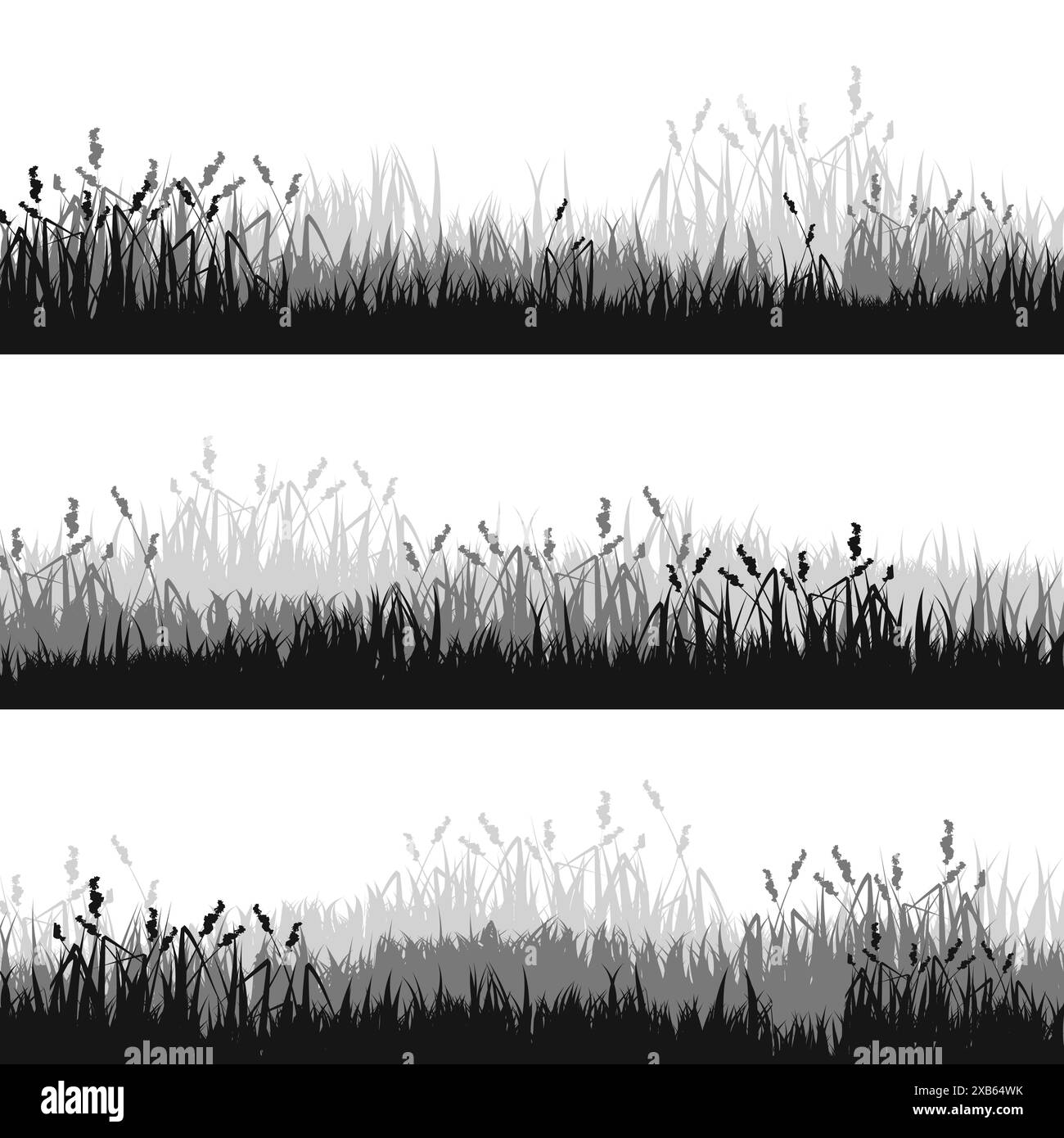 Meadow silhouettes with grass, plants on plain. Panoramic summer lawn ...