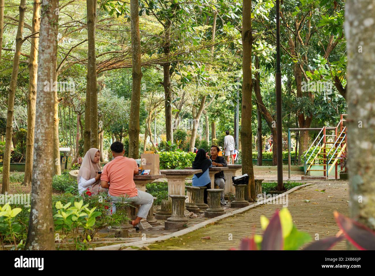 people's activities in the park, afternoon atmosphere in gardens with ...