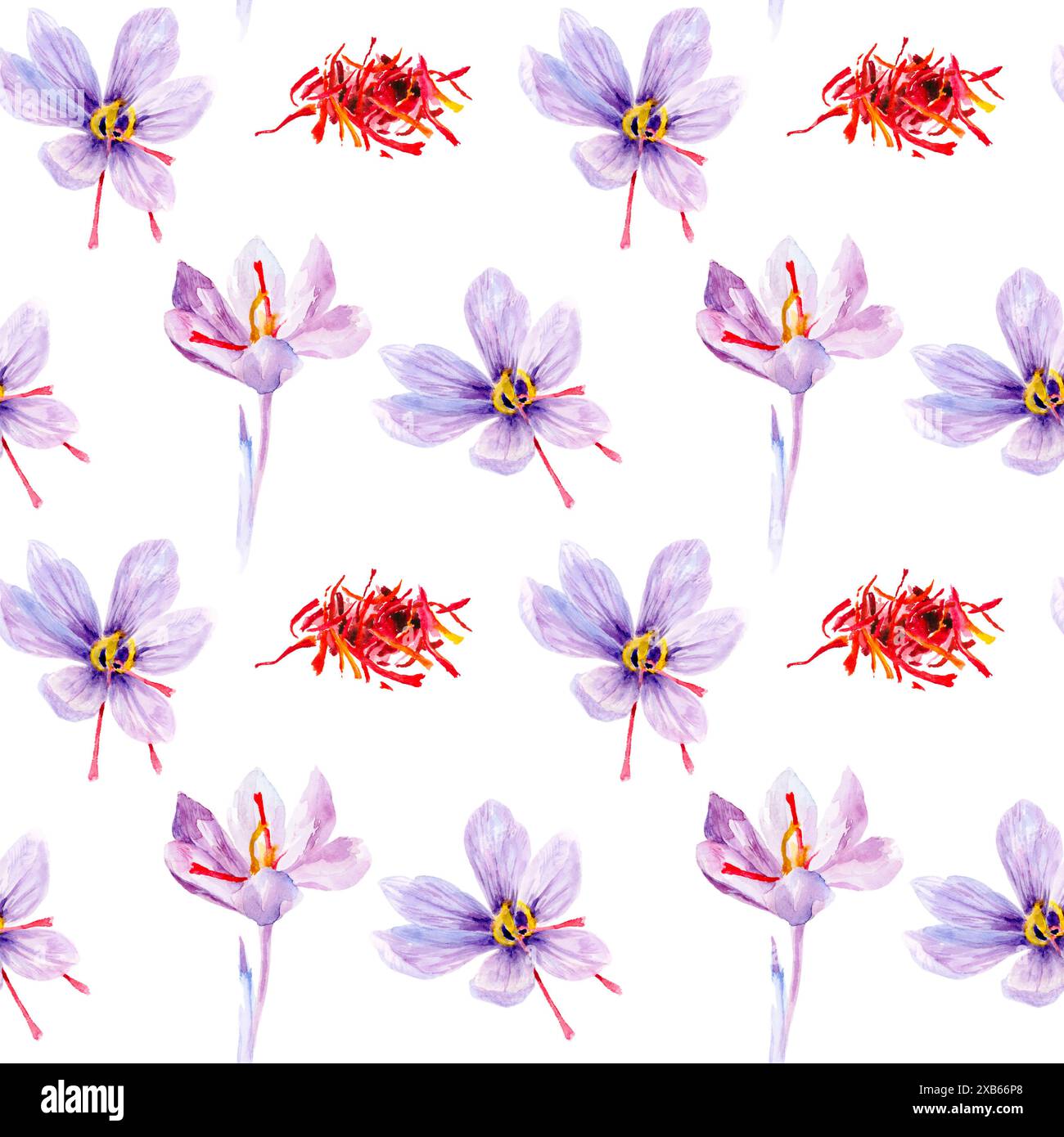 Seamless watercolor saffron flowers and threads pattern on white ...