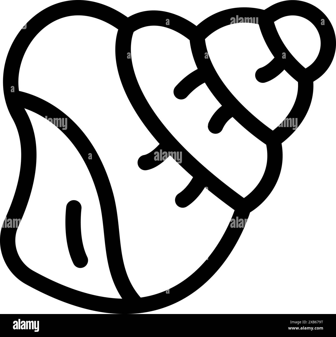 Simple bold black and white line drawing of a large spiral seashell ...