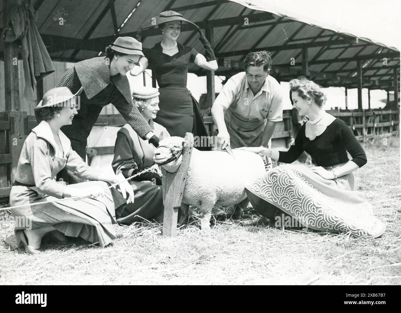 Black isle cinema hi-res stock photography and images - Alamy
