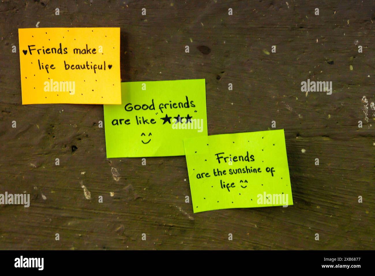 sticky notes with garden background, national friendship day concept ...