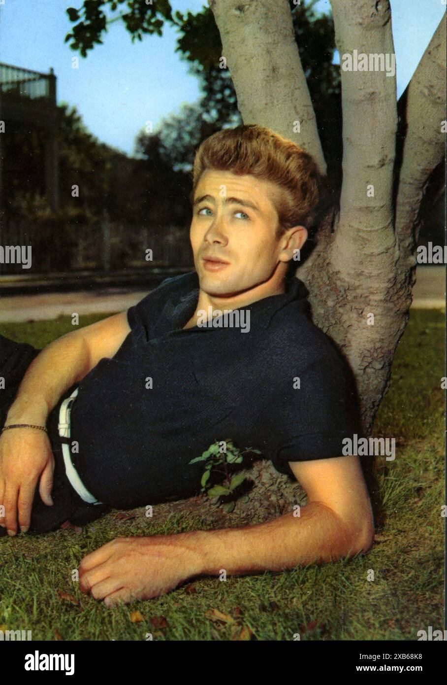James dean 1950s hi-res stock photography and images - Alamy