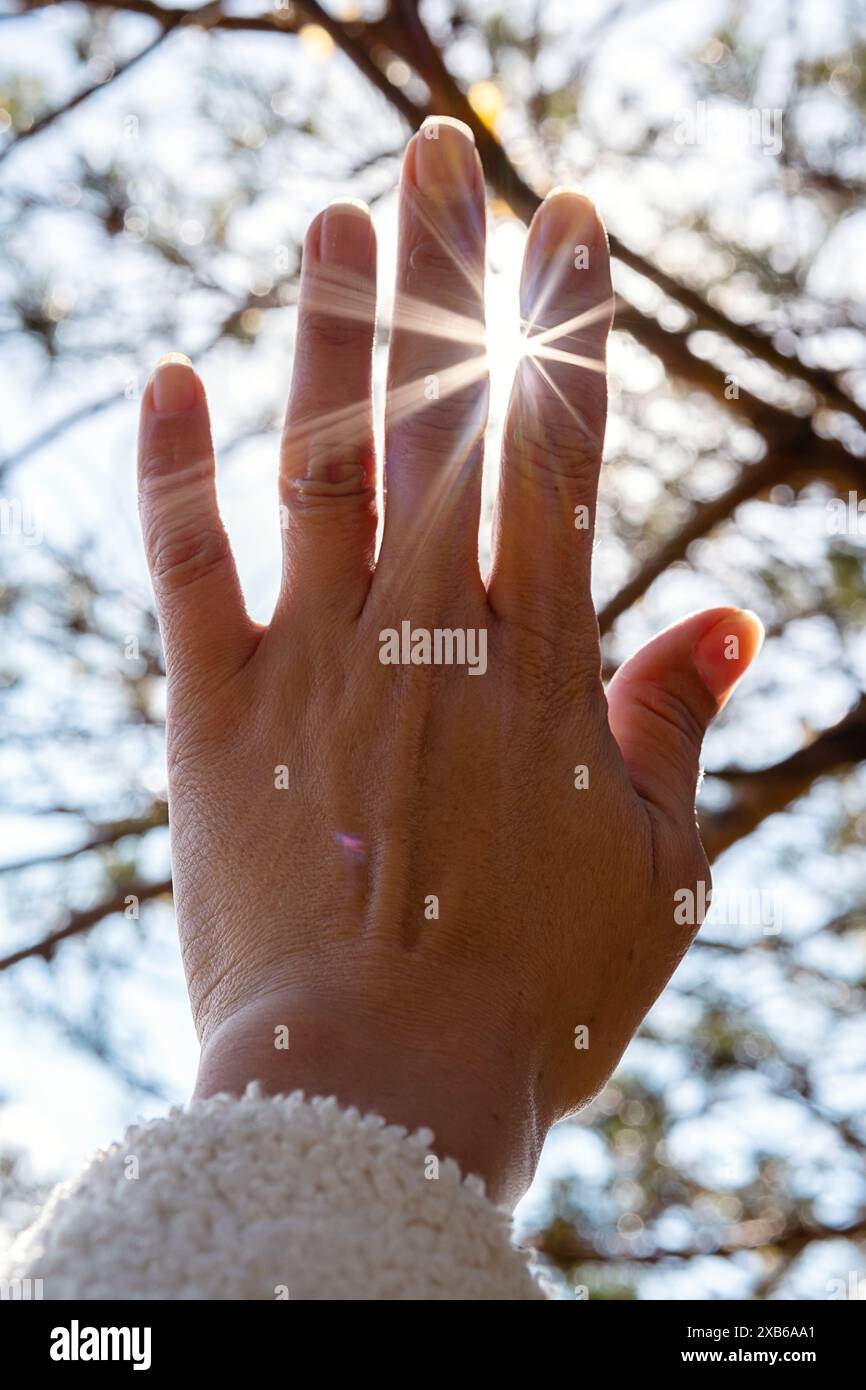 Hand letting the rays of sun pass through her fingers Stock Photo - Alamy
