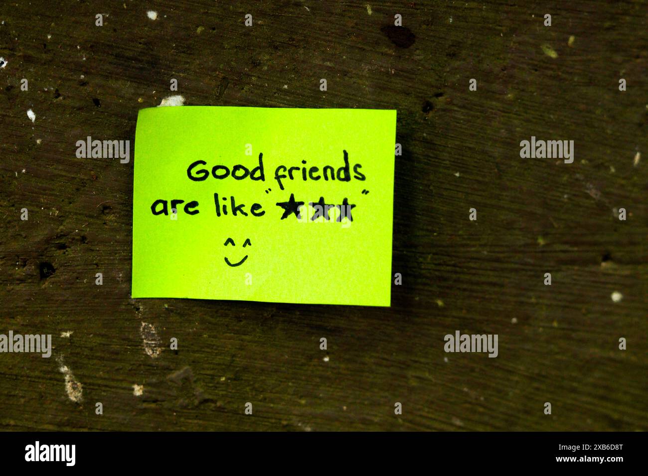 sticky notes with garden background, national friendship day concept ...