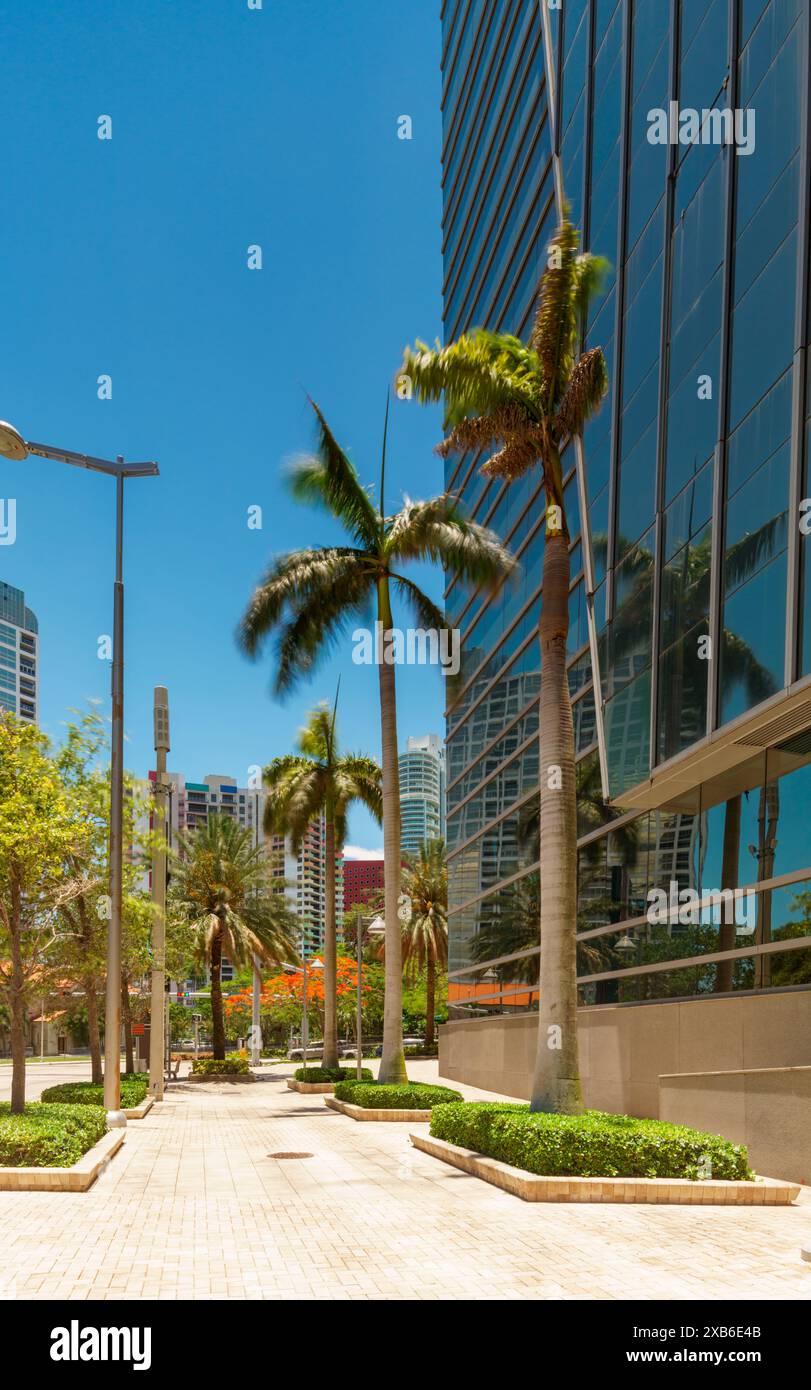Sidewalk view Brickell. Downtown city scene. Miami, Florida, USA Stock ...