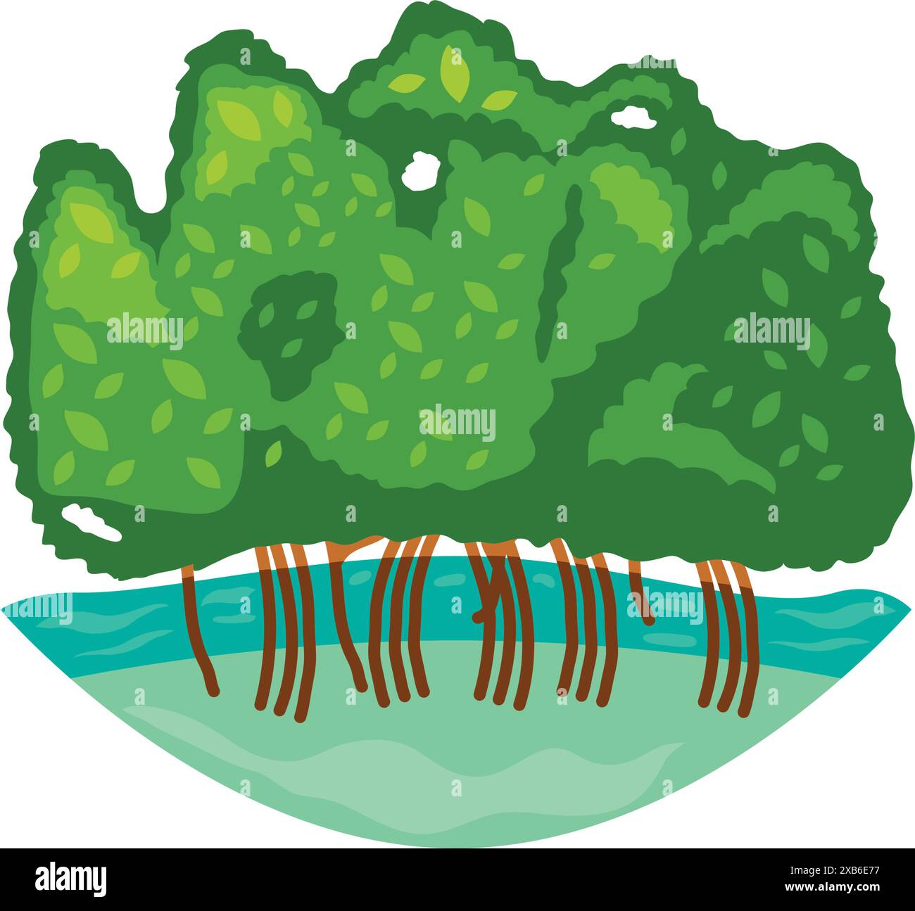 mangroves and tropical plants Stock Vector Image & Art - Alamy