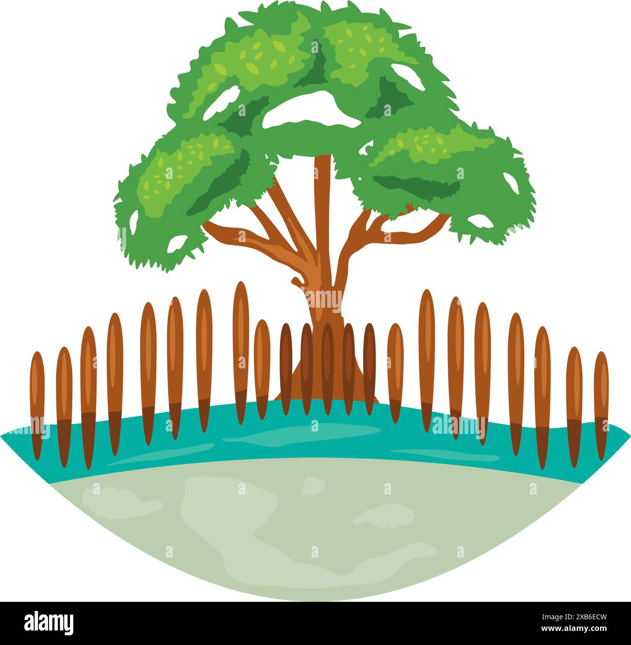 mangrove tree with green foliage Stock Vector Image & Art - Alamy
