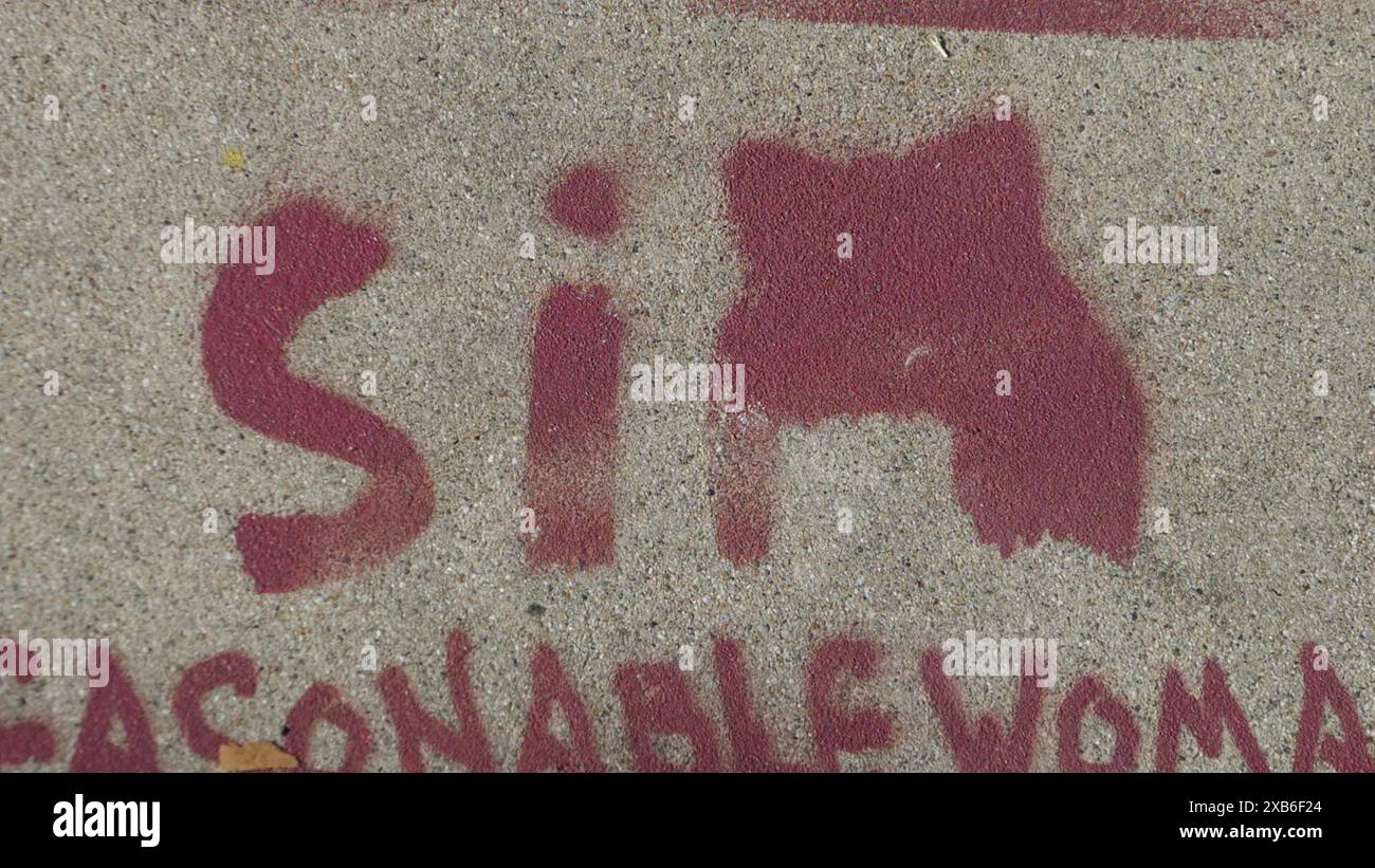 Los Angeles, California, USA 10th June 2024 Singer Sia Reasonable Woman ...