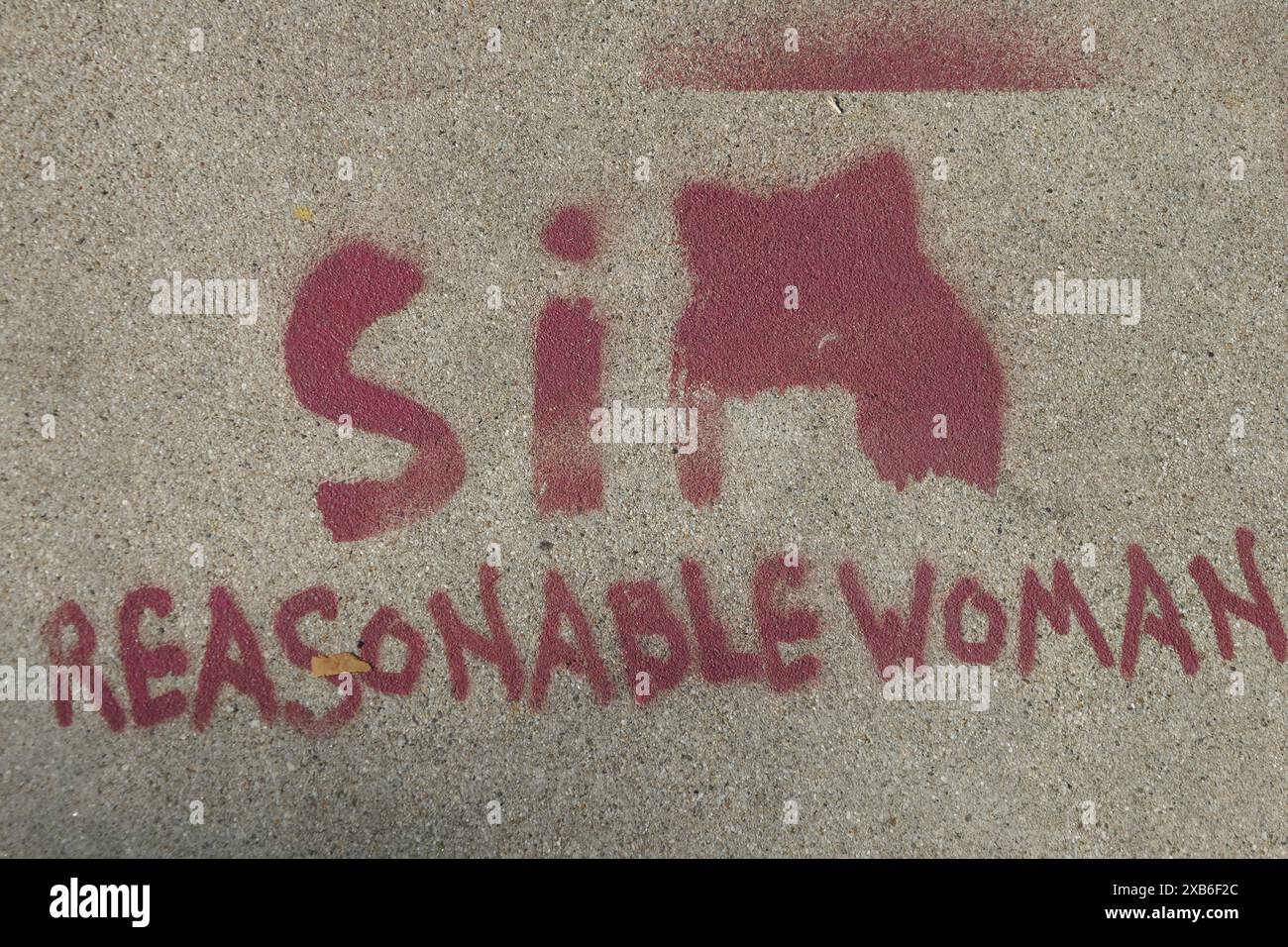 Los Angeles, California, USA 10th June 2024 Singer Sia Reasonable Woman ...