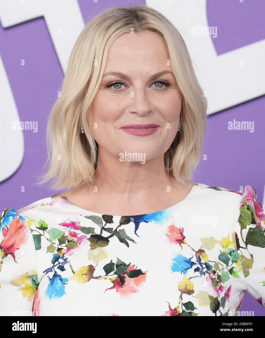 Amy Poehler arrives at the Disney And Pixar's INSIDE OUT 2 World ...