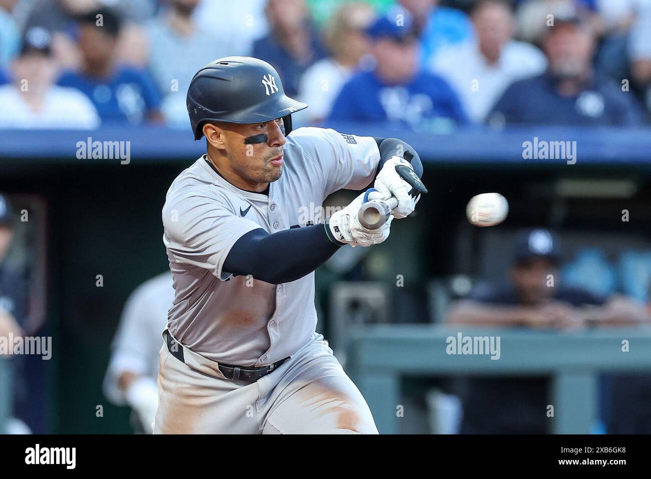 June 10, 2024: New York Yankees outfielder Jahmai Jones (14) bunts ...