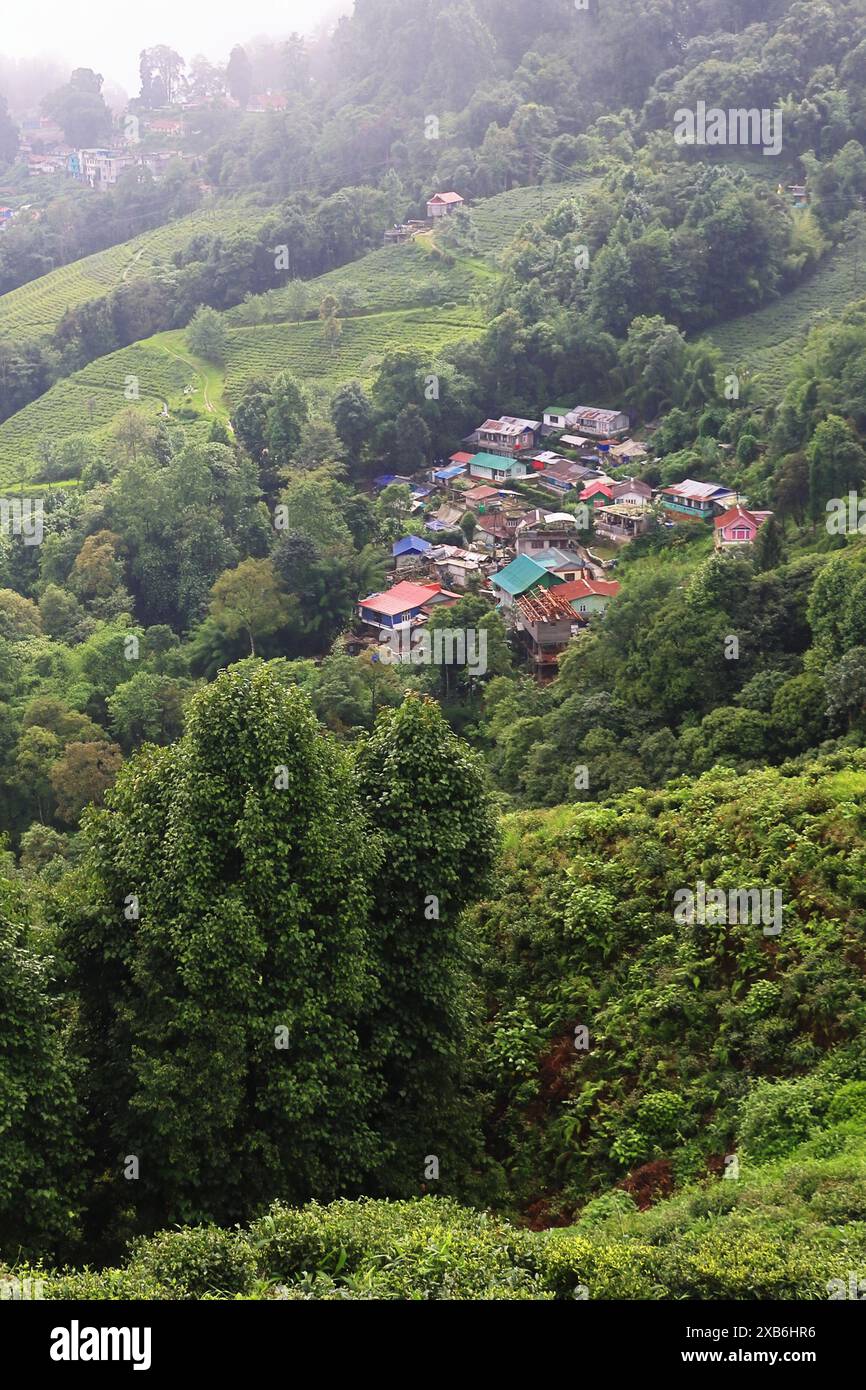 foggy and cloudy lush green himalayan foothills and mountain ...