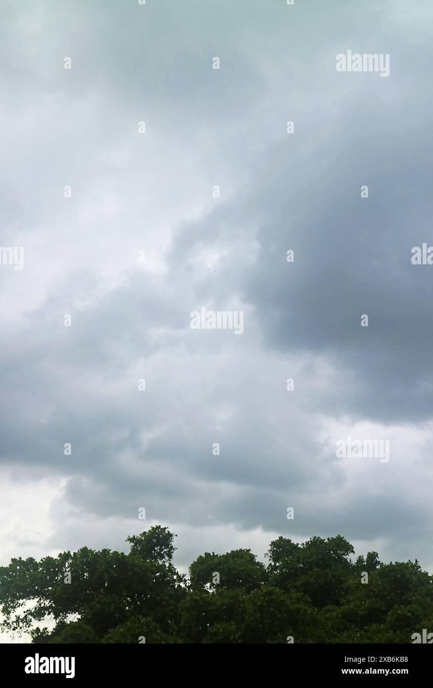 Dark stormy clouds in tropical monsoon season before heavy rain Stock ...
