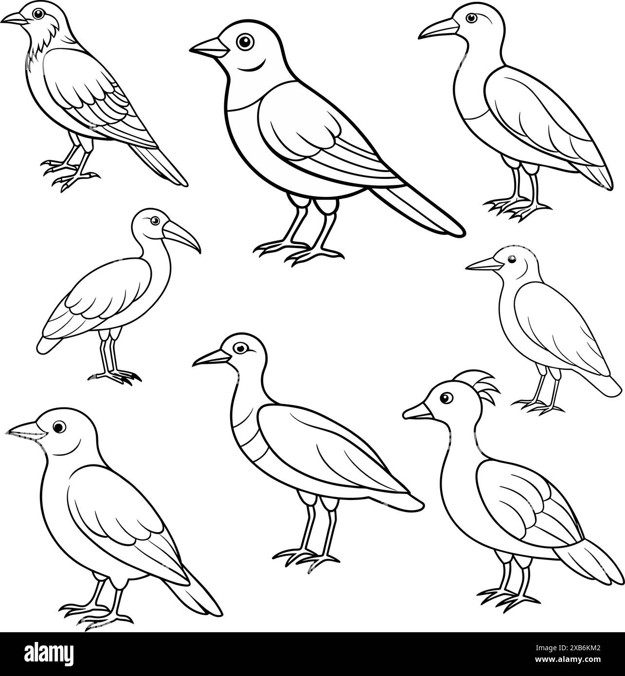 set of birds. outline vector illustration Stock Vector Image & Art - Alamy