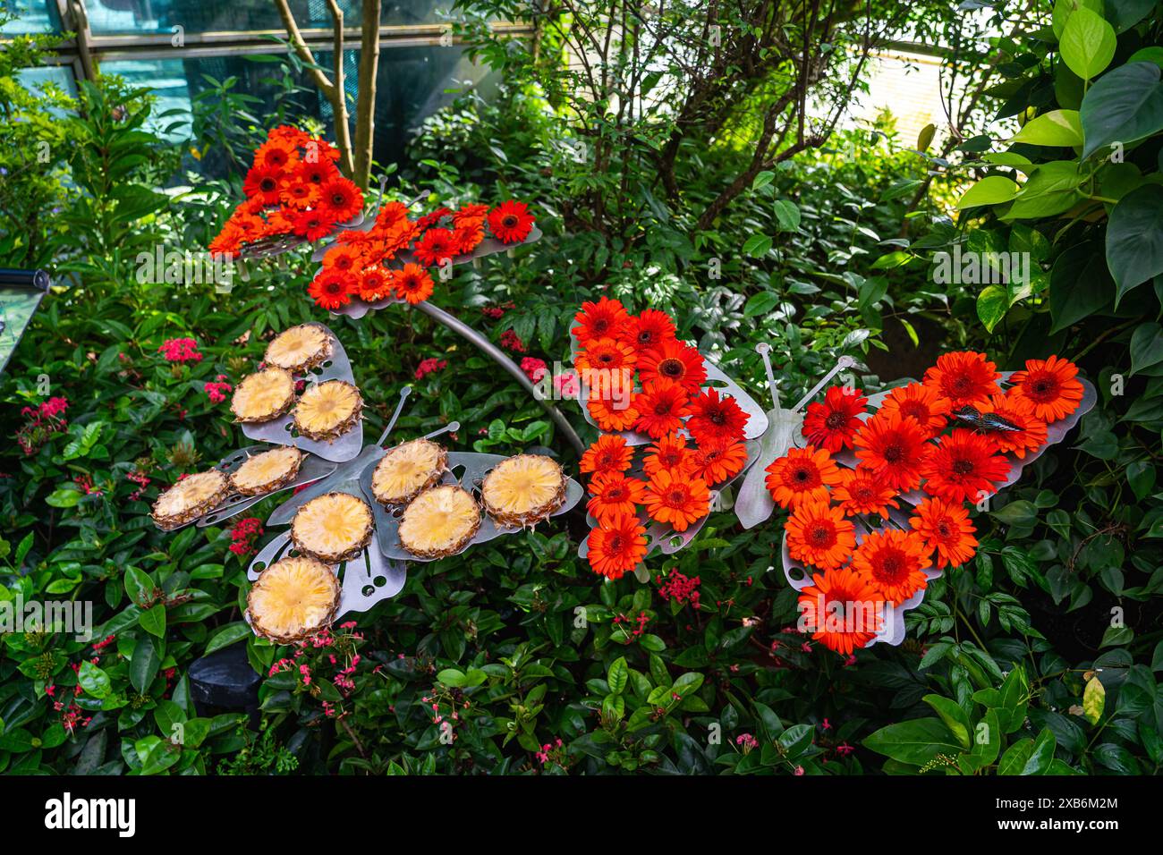 Butterfly Garden at the Singapore Changi International Airport is the ...