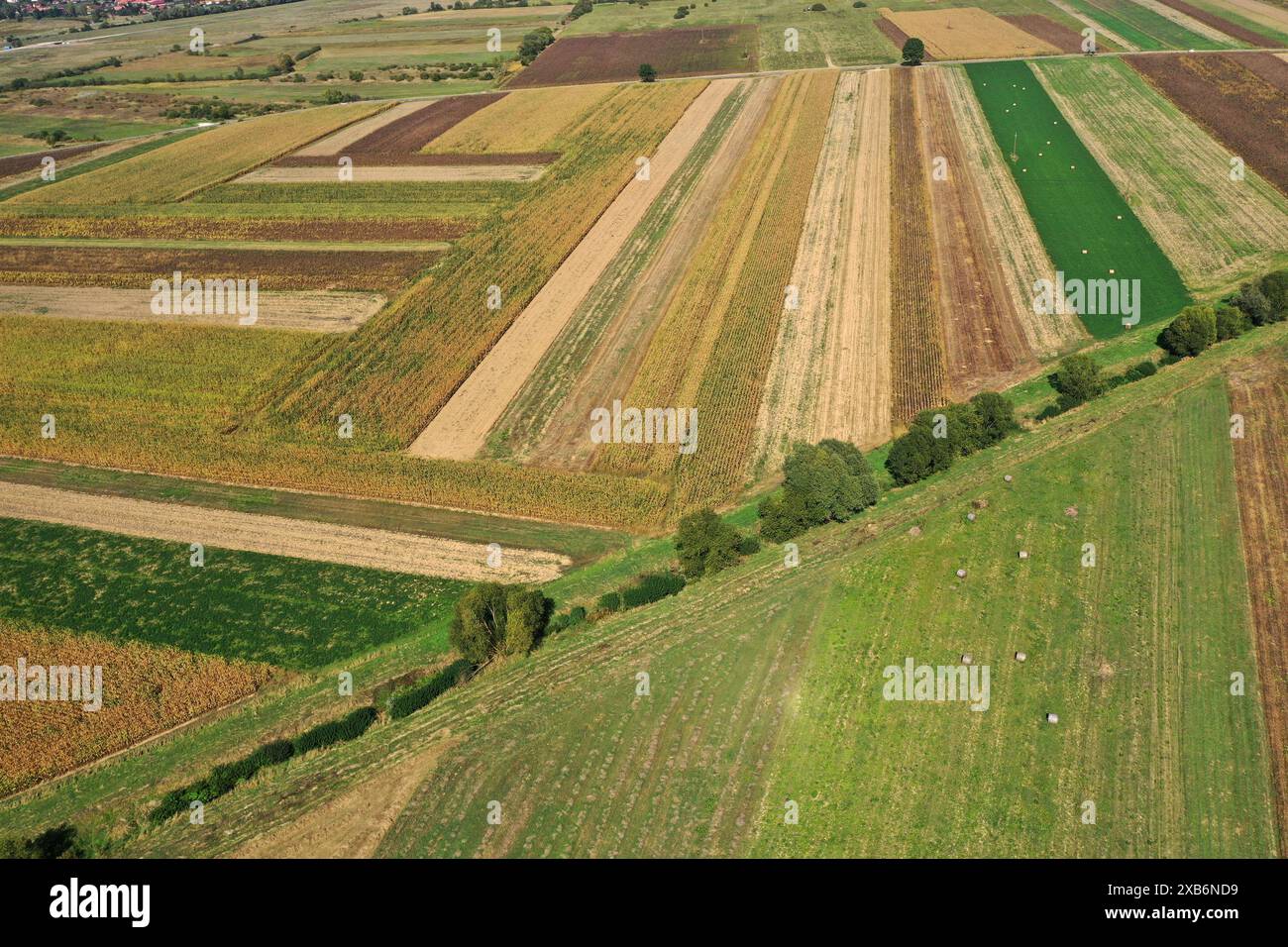 Aerial view wheat fields sunset hi-res stock photography and images - Alamy