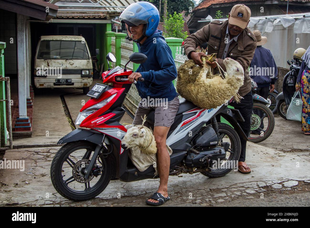 Tanjungsari, West Java, Indonesia. 11th June, 2024. A man ride a ...