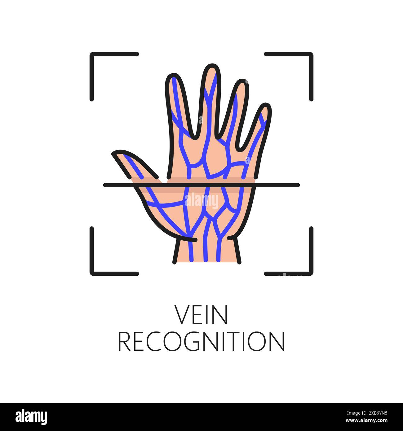 Vein Recognition Biometric Identification Or Verification Icon Vector Linear Sign Of Hand With