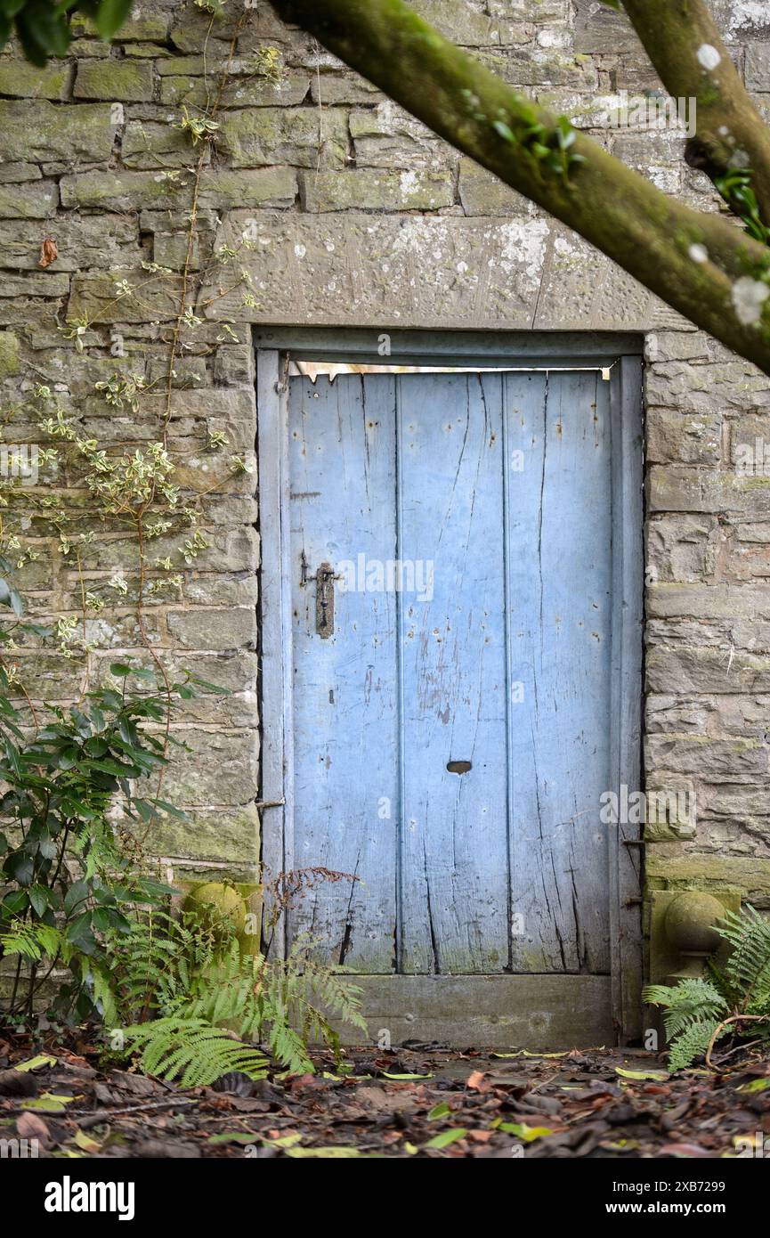 Shady front garden hi-res stock photography and images - Alamy