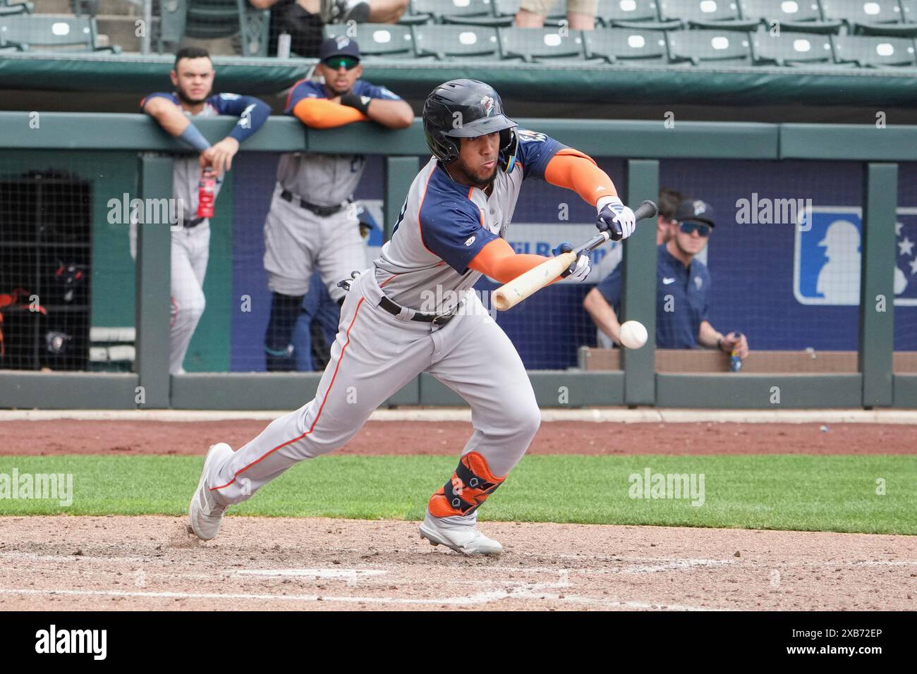 Pedro leon baseball hi-res stock photography and images - Alamy